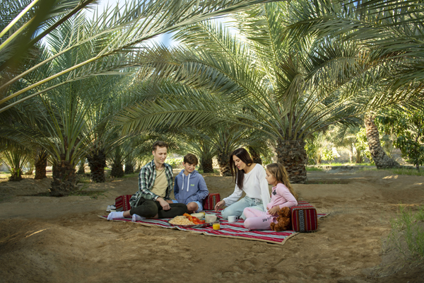 Ajman Stud
